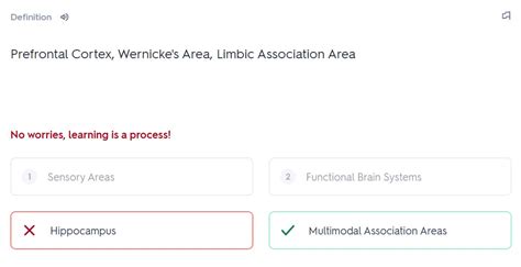 Biology 40 B Multimodal Association Areas