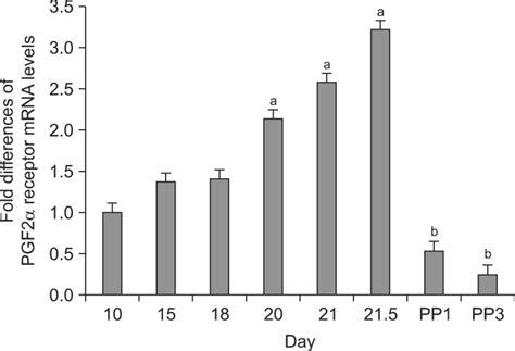 Relative Mrna Expression Of The Pgf2α Receptor Bars Represent Pgf2α Download Scientific