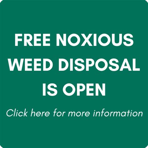 Kitsap County Noxious Weed Control Program