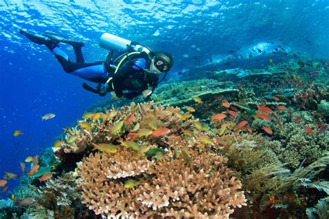 Diving Indonesian Islands Prana By Atzaró