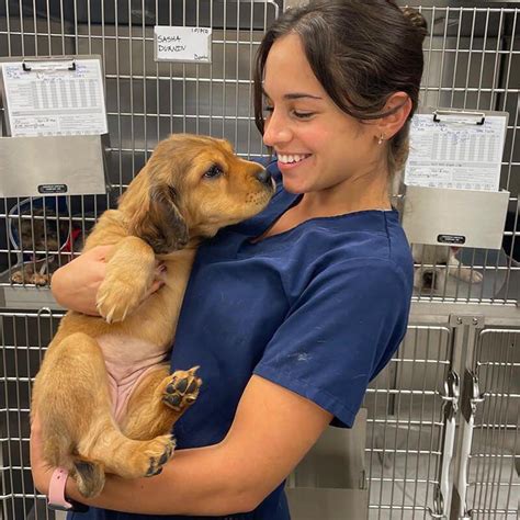 🚨 Urgent 38 Days To Save Bobbys Life 🚨 Bobby A Sweet Pup From Wisconsin Has Been Diagnosed