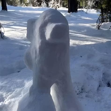 ‎susi Baki Single Album Von Amogus Apple Music