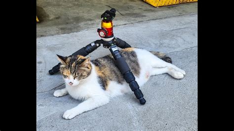 출산이 임박한 알이네 가족의 일상 ️ Youtube