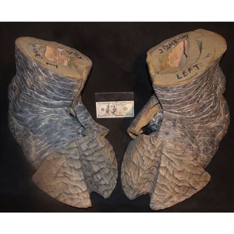 Hellboy The Golden Army Wink Matched Pair Of Feet Super Hero