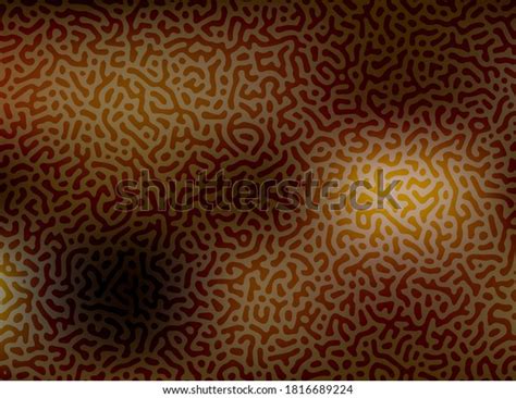 Reactiondiffusion Turing Pattern Formation Generative Algorithm Stock