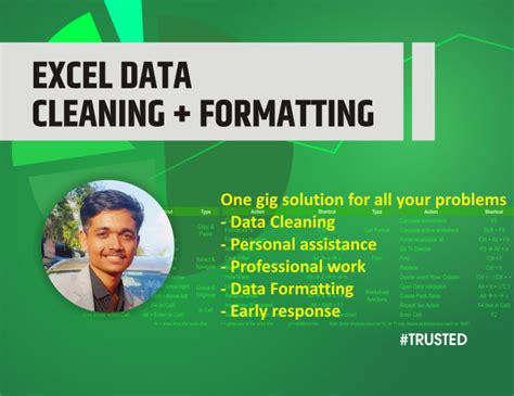 Do Excel Data Formatting With 100 Percent Accuracy By Prathamesh1815