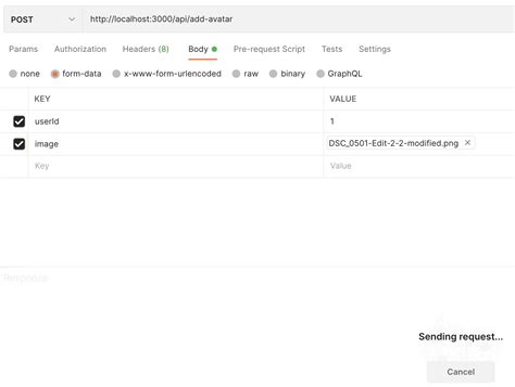 Javascript Multer Middleware Does Not Goes Trough And Leave Request