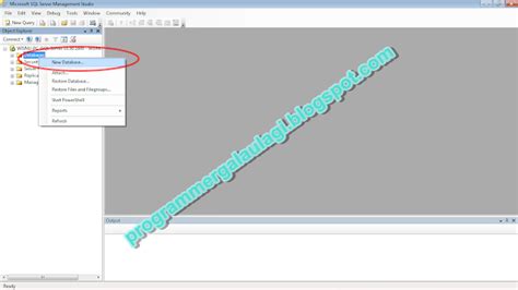 Belajar Sql Server Dasar Dasar Sql Server ~ Programmer Galau Lagi