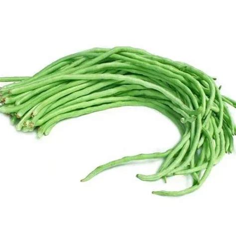 Cowpea Lobia Beans Vegetable Seeds 1 Kg At ₹ 500 Kg In Hapur Id