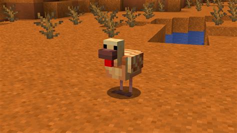 Chicken Minecraft