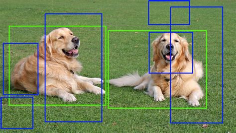 Selective Search For Object Detection C Python Learnopencv