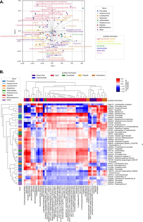 Multi Omics Data Integration Reveals Metabolome As The Top Predictor Of The Cervicovaginal