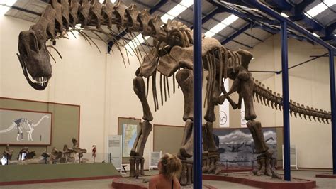 Argentinosaurus Skull