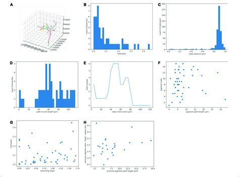 Some Morphological Features Of A Single Neuron A The Morphology Of