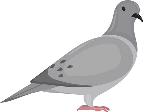 Dove Bird Clipart