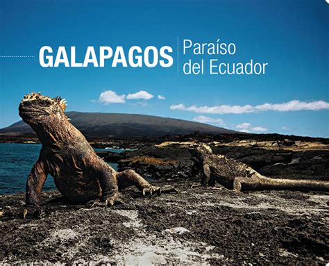Recorre El Ecuador Galapagos Una Maravilla Que Debes Conocer