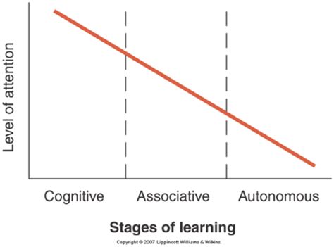 Motor Learning Theories Feedback Flashcards Quizlet