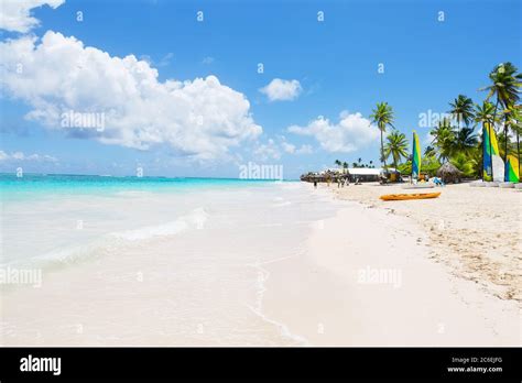 Coconut Palm Trees On White Sandy Beach In Punta Cana Dominican