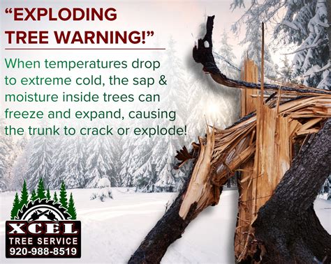 🚨 You May Have Seen The Phrase Xcel Tree Service Llc Facebook