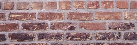 Understanding Wall Types A Key To Successful Vinyl Applications