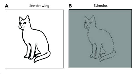 Example Of A Stimulus Image A Original Line Drawing From Snodgrass