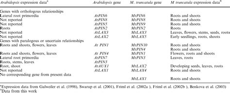 Summary Of Arabidopsis M Truncatula Pin And Lax Gene Relationships Download Table