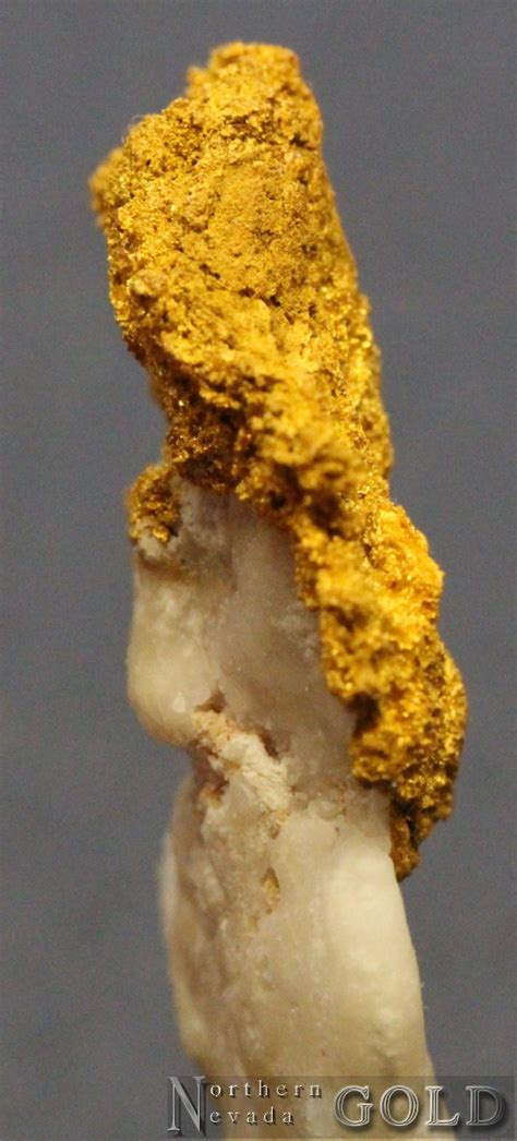Specimen Gold 5364htv