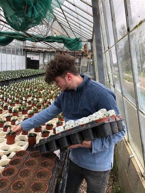 Lindsay Pamphilon Posted On Linkedin