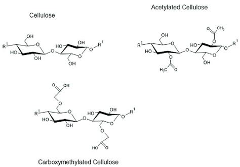 Representation Of Modified Cellulose Download Scientific Diagram