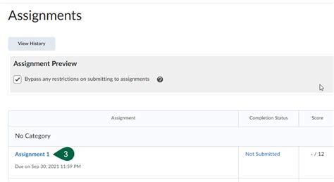 The Assignment Preview In Brightspace