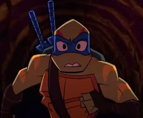 Rottmnt Ninja Turtles Funny Teenage Turtles Tmnt