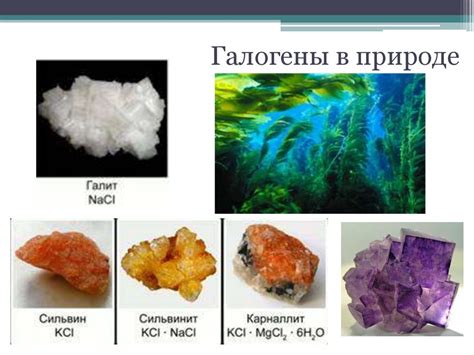 Соединения галогенов - презентация онлайн