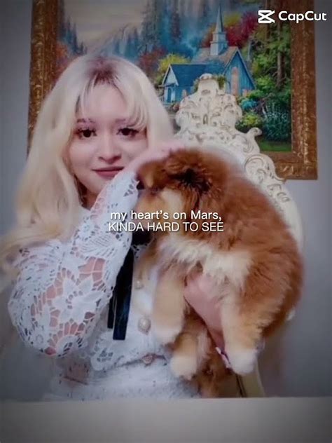 Inquisitormaster Youtube