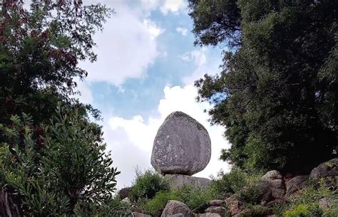 Alejandro Ciccarelli