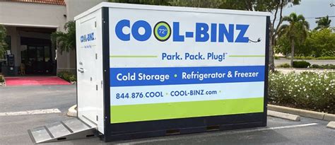Portable Storage Bins Cool Binz