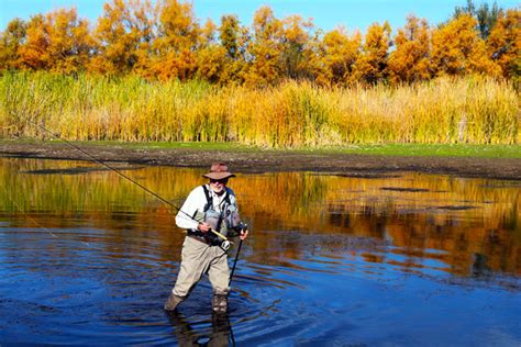 Discover Gila County Upper Salt River