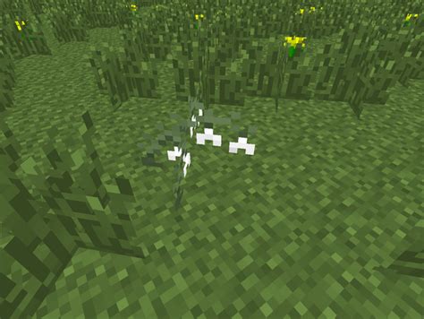 Lily Of The Valley Lily Of The Valley The Valley Lily