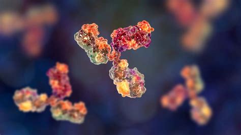 Myélome Multiple Informations Pour Les Professionnels De Santé Campus Sanofi France