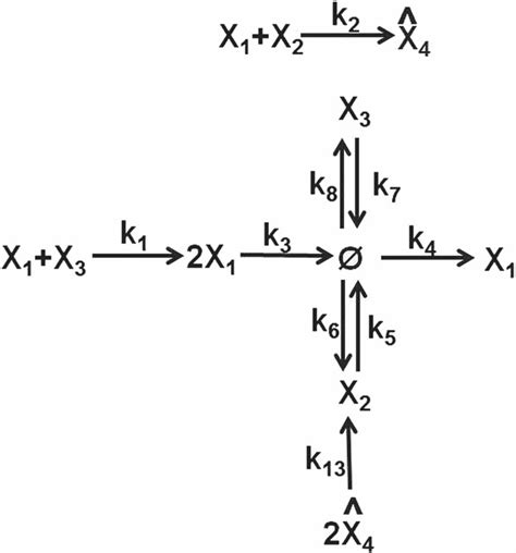 自催化过氧化物酶 氧化酶反应之间的稳态当量the Journal Of Chemical Physics X Mol