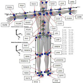 Frontal View Of Marker Placement Protocol A Blue Circles Represent