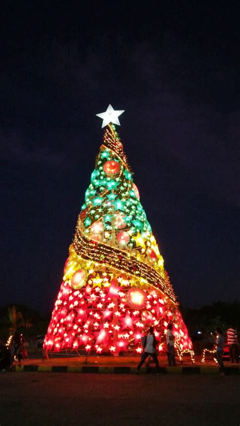 Christmas Trees In Philippines At Sofia Knepp Blog
