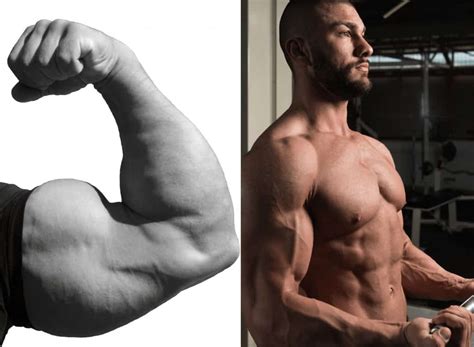 My Ultimate Bicep Machine Workouts My Results And Gains