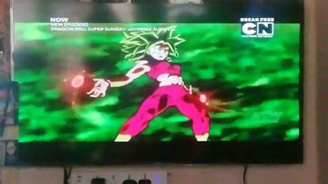 Dbs Universal Survival Youtube