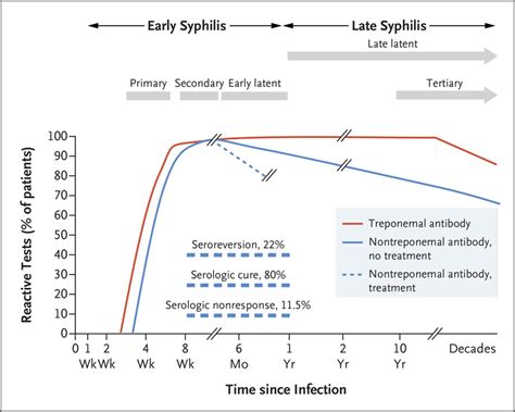 The Modern Epidemic Of Syphilis Nejm