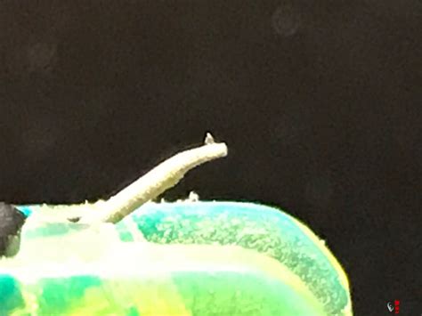 Rare Grace F9e Photo 2948609 Canuck Audio Mart