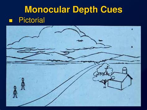 Depth Perception © Wesner M F Ppt Download
