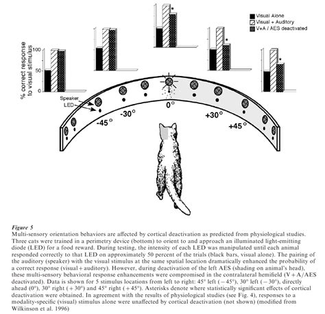 Cross Modal Integration Research Paper Iresearchnet