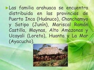 Diversidad Lingüística En El Perú Pptx