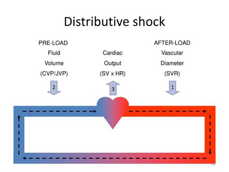 Ppt Shock Powerpoint Presentation Free Download Id5238101