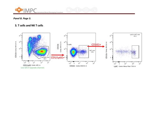 Parameters And Metadata
